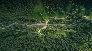 Trimble Forestry’s Terrain Navigator Pro