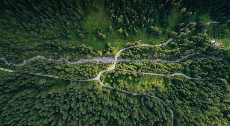 Trimble Forestry’s Terrain Navigator Pro